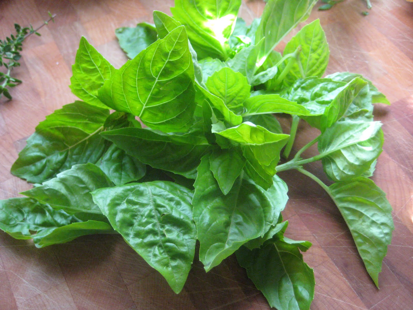 Buttermilk Grosses Me Out: Grilled Rustic French with Basil