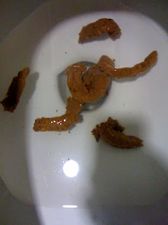 Year of Poop: Poop explosion