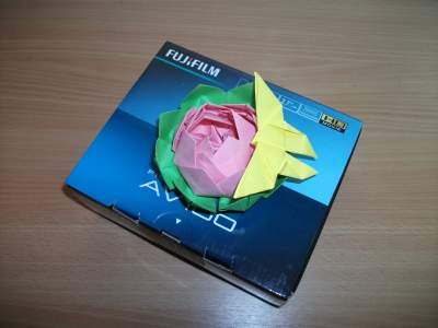 O jucarie pe zi: Flori si fluturi origami