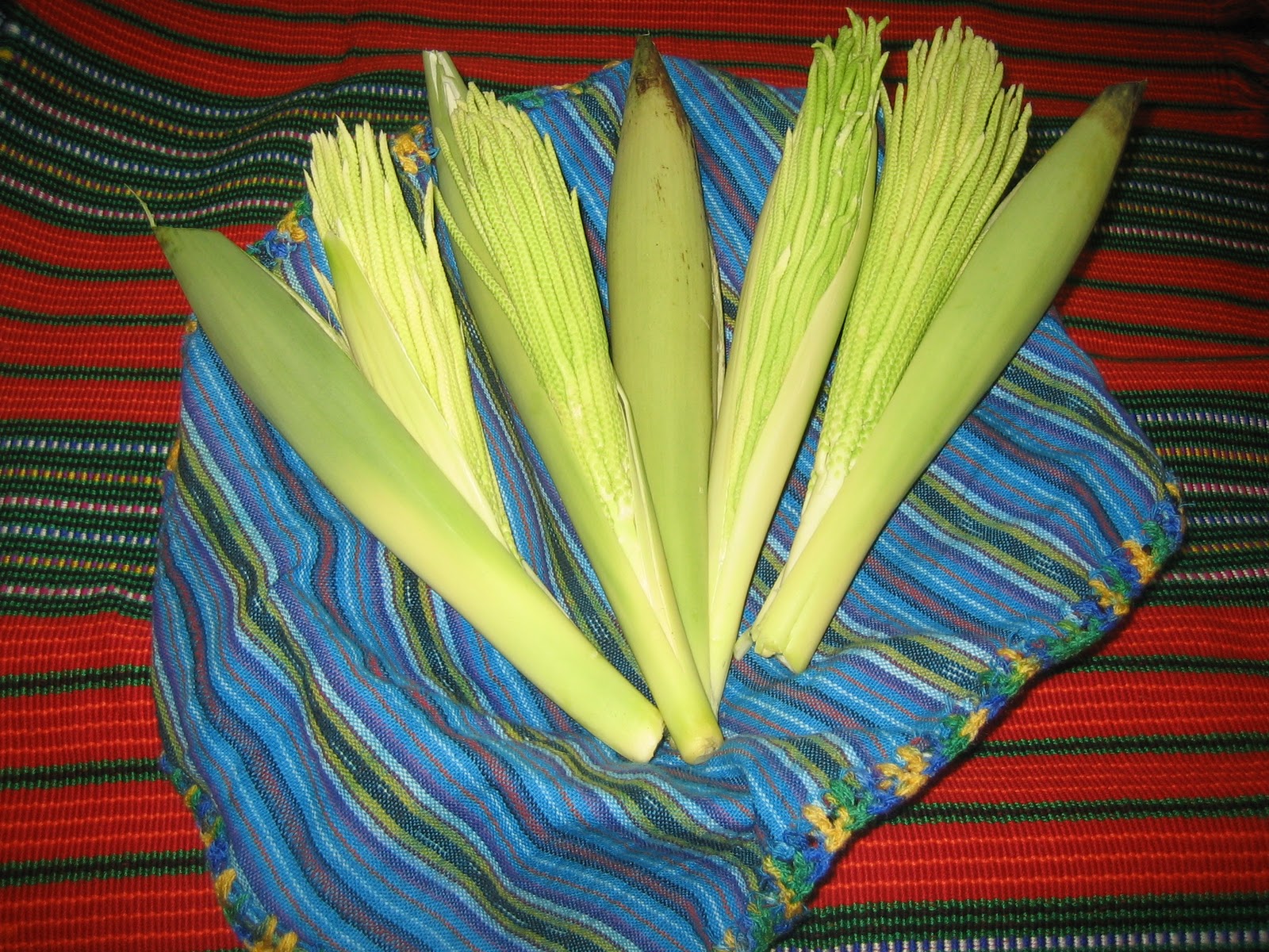 frutas y frutos de mi tierra: LA PACAYA