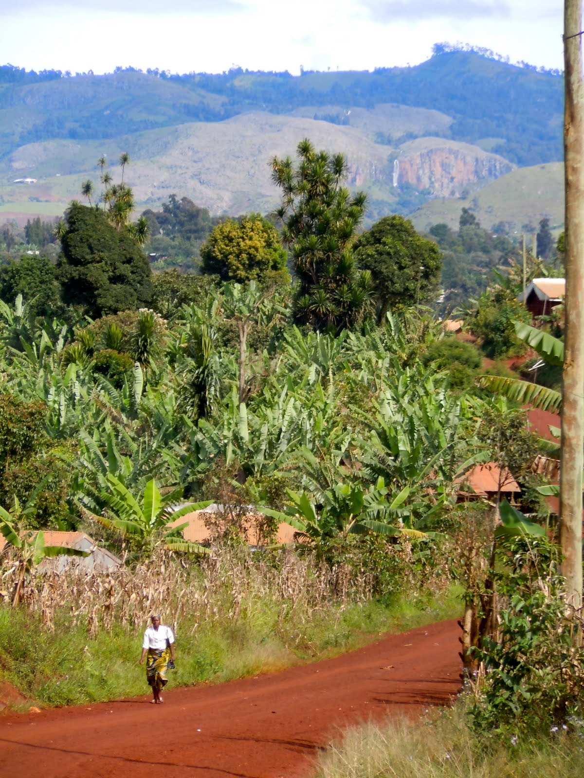 A Cameroon Tale: Scenes from the Village