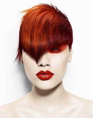 Layered Hairstyle: Punk Girl Red Mohawk Hairstyle
