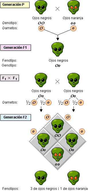 Ambiente: Cruces genéticos