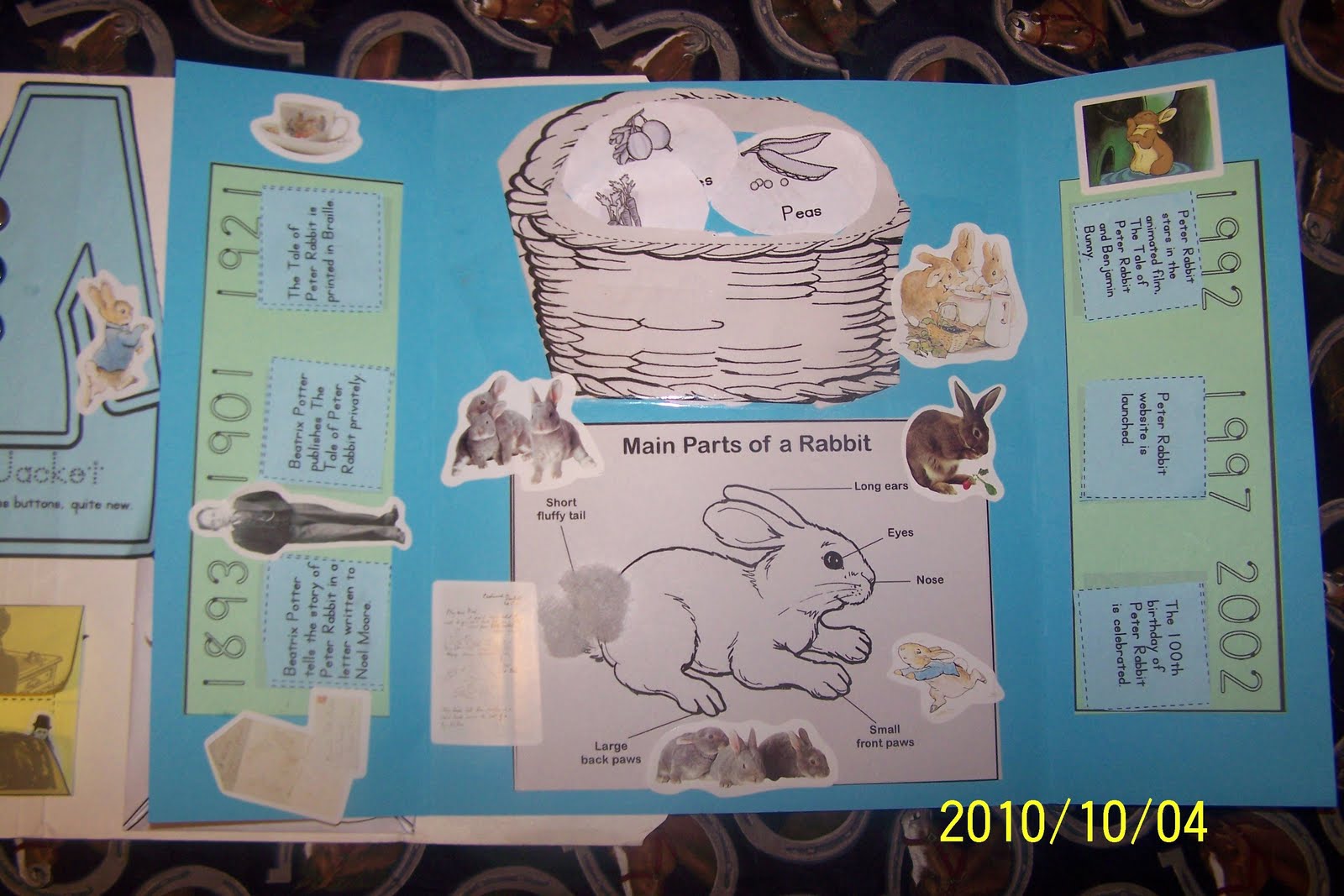 ~*My Father's Sheep*~: Peter Rabbit Lapbook~Hands of a Child