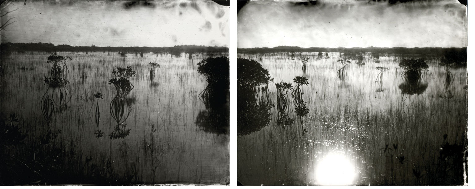 Inspired by Senses: Alternative Photography Processes