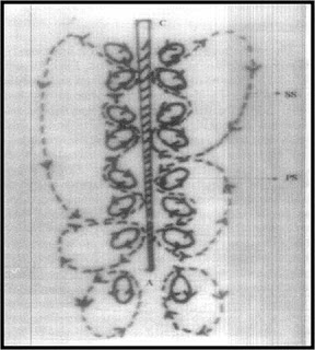 ONLINE DENTISTRY: MECHANISM OF ULTRASONICS - ACOUSTIC STREAMING