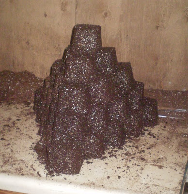 Plants are the Strangest People: Work-related: dirt pyramid