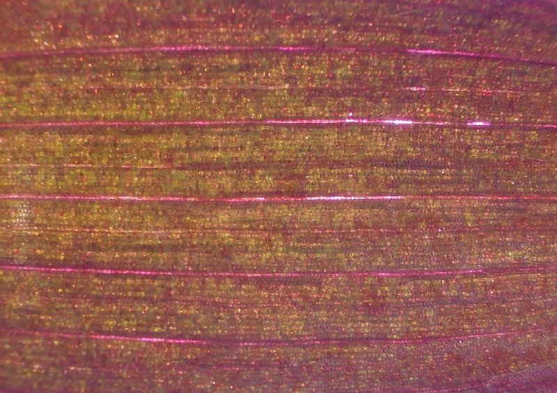 Plants are the Strangest People: [Exceptionally] Pretty pictures ...