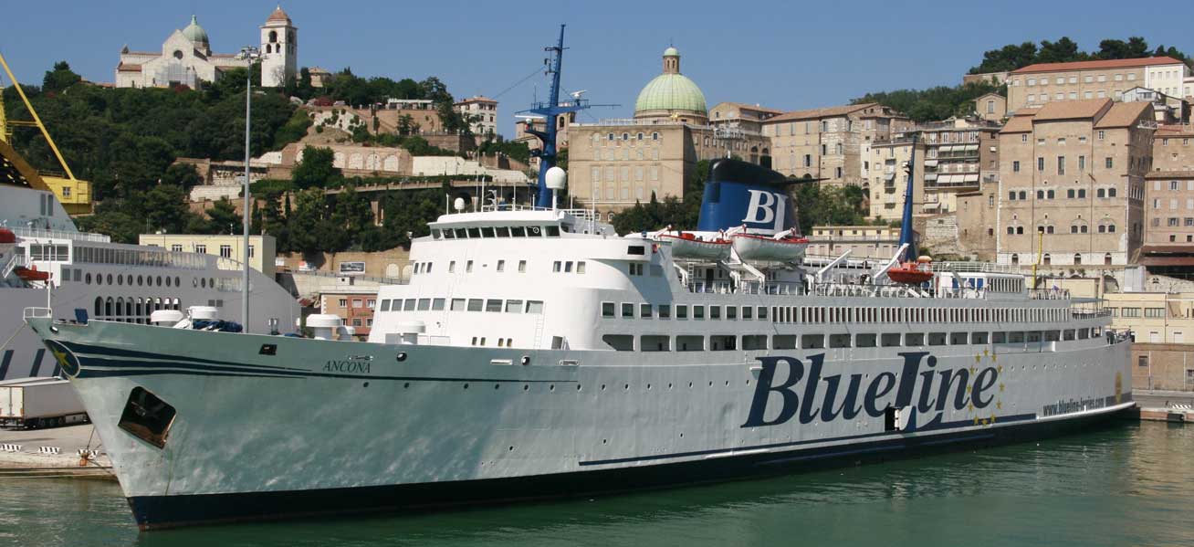 HAYNES WORLD: Summer 2010, Part 7