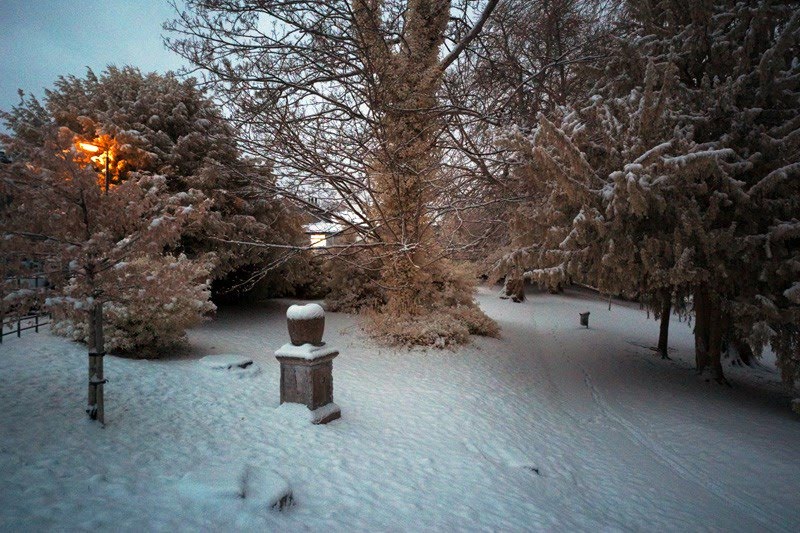 Women and Dreams: Infrared Y: Swirly-swirl went the snow