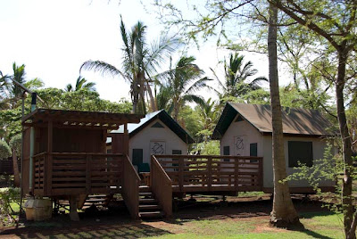 H1 West: The Molokai Ranch Tentalows