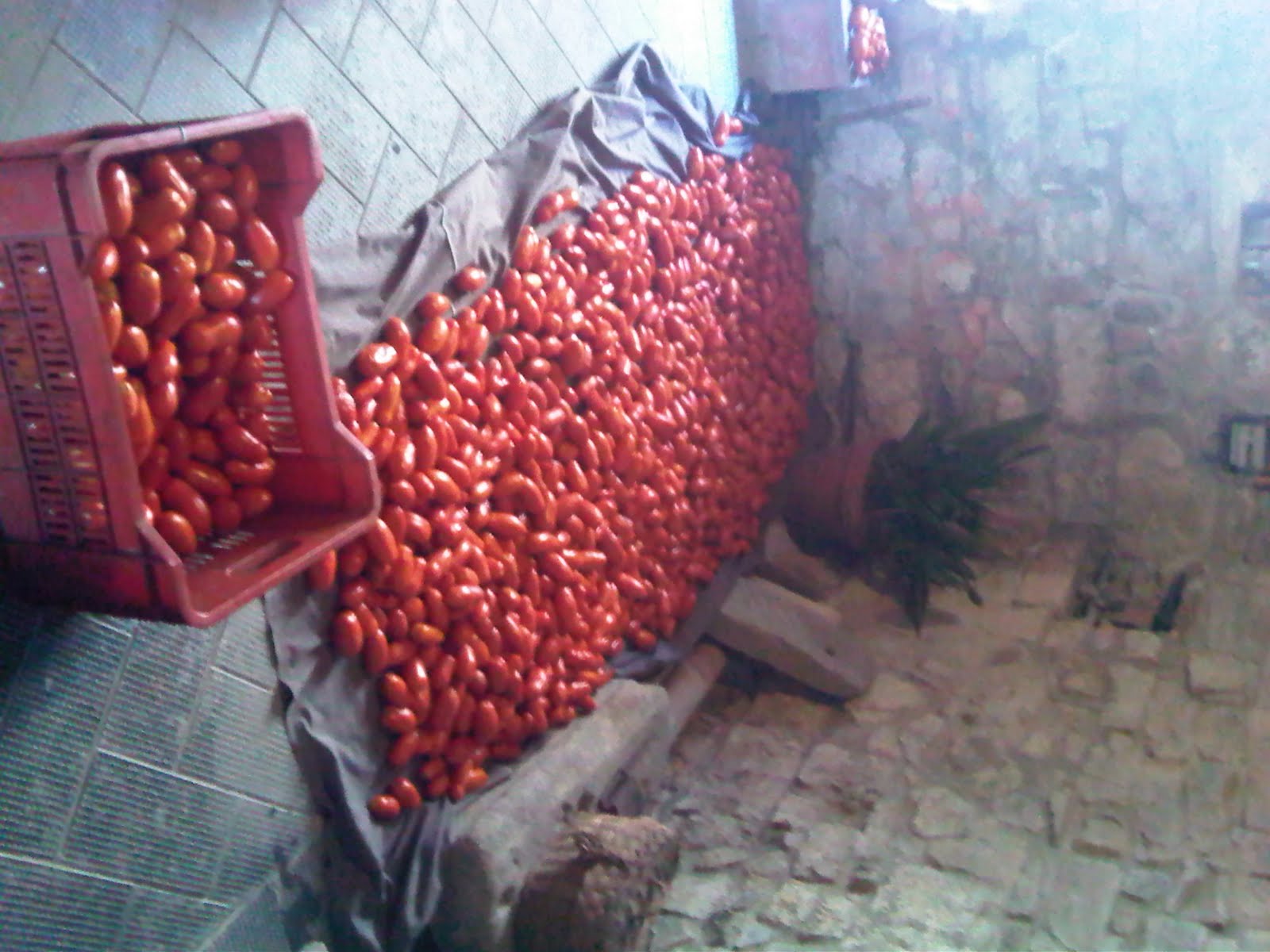 Green Textiles Elective