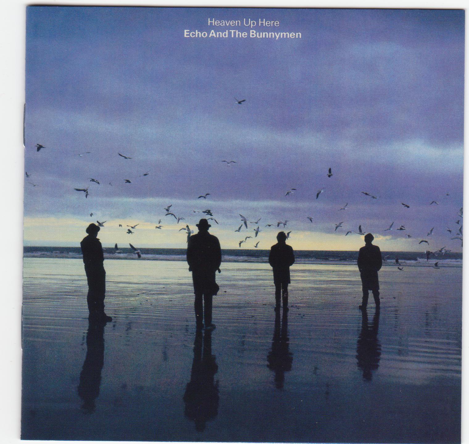 Continuum Transfunctioner: The Best Kind Of Sophomore Slump --Heaven Up ...