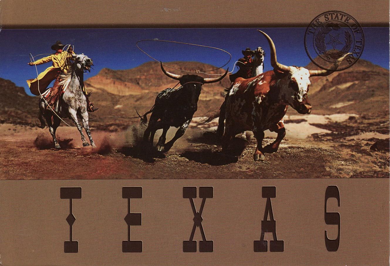 ULVIKARU POSTCARDS: USA - Texas / Cowboys roping Texas longhorn cattle