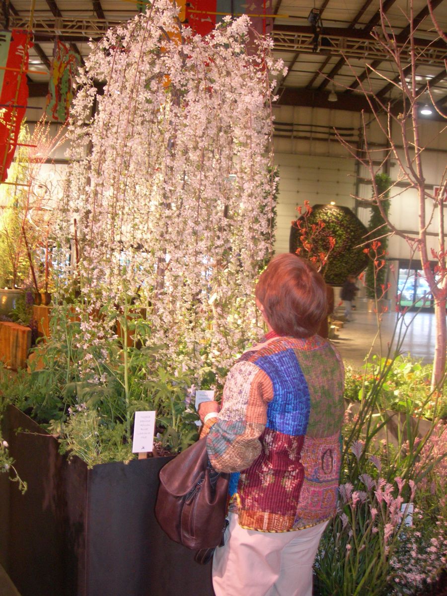 Sharon Lovejoy: What a Crazy Way to Earn a Living!