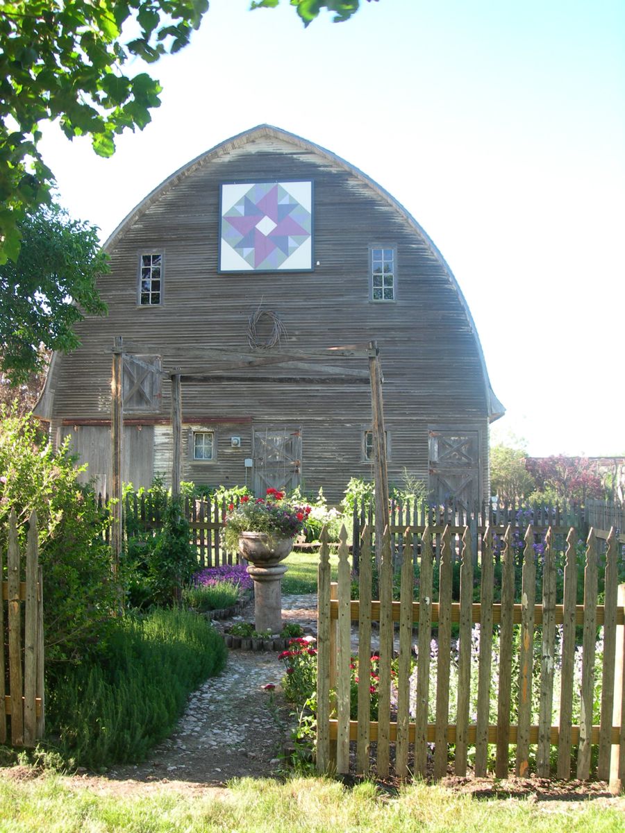 Sharon Lovejoy: Sifting Through Starlight