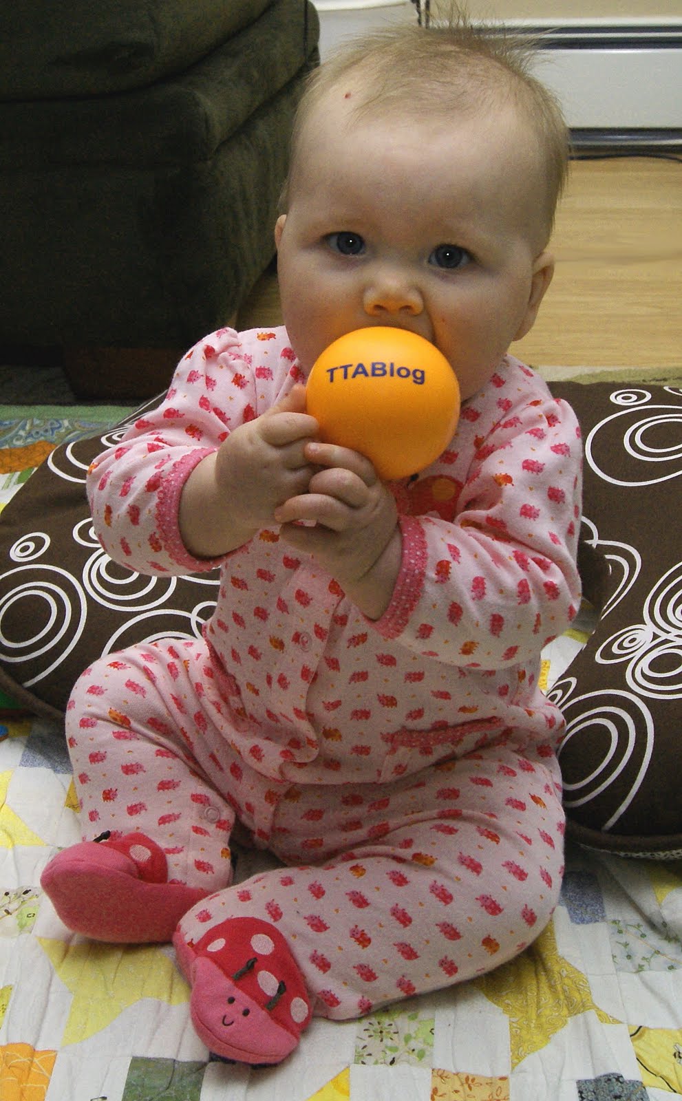 The TTABlog ® : August 2010