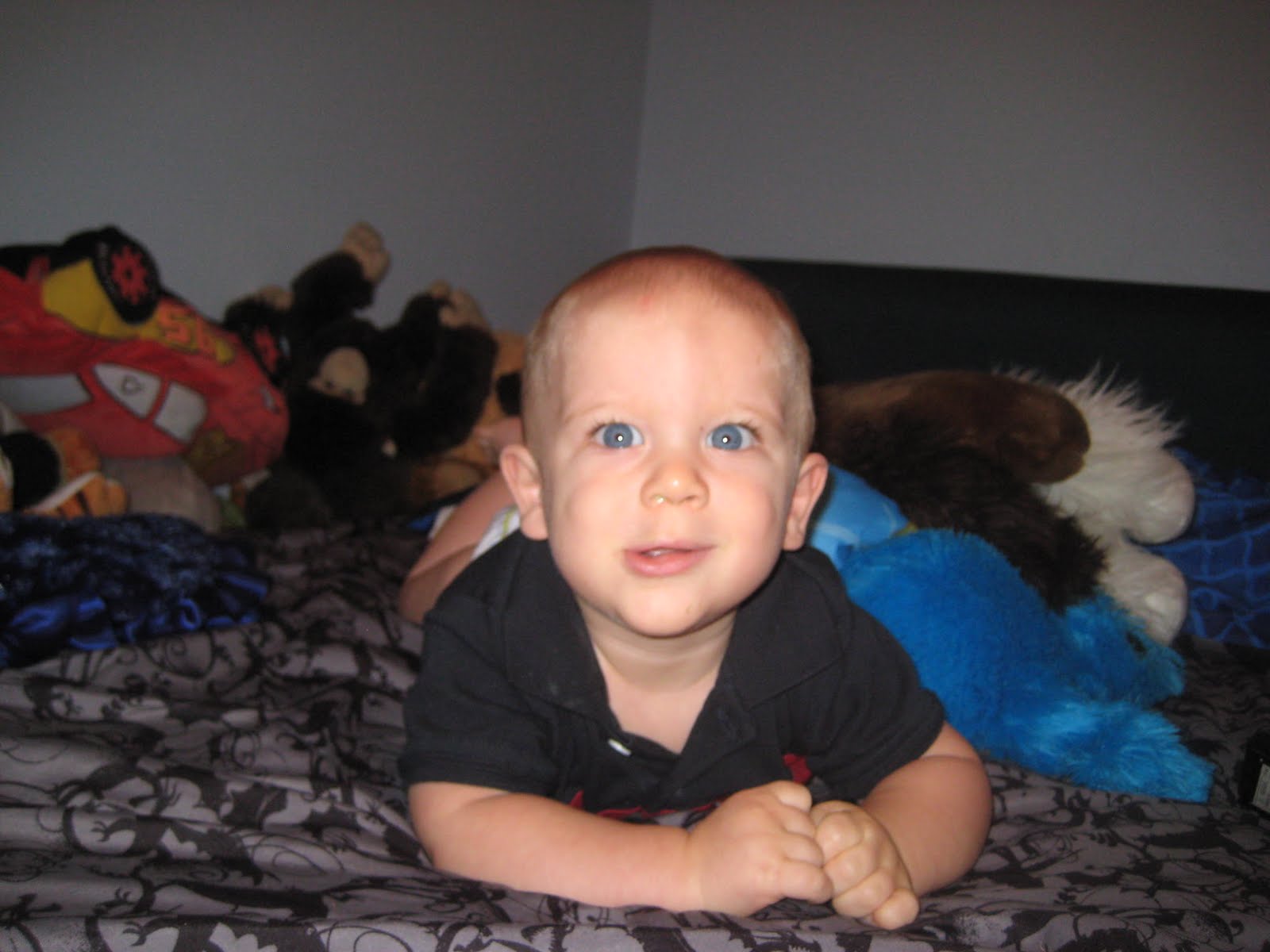 Gavin Brock and Grant Matthew