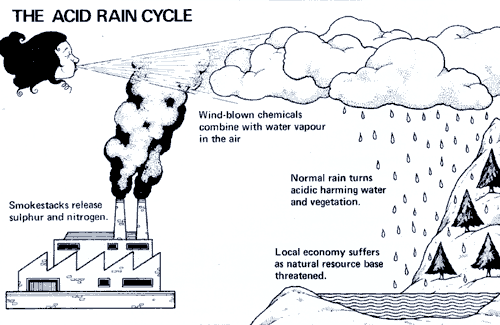 Acid Rain: What is acid rain?