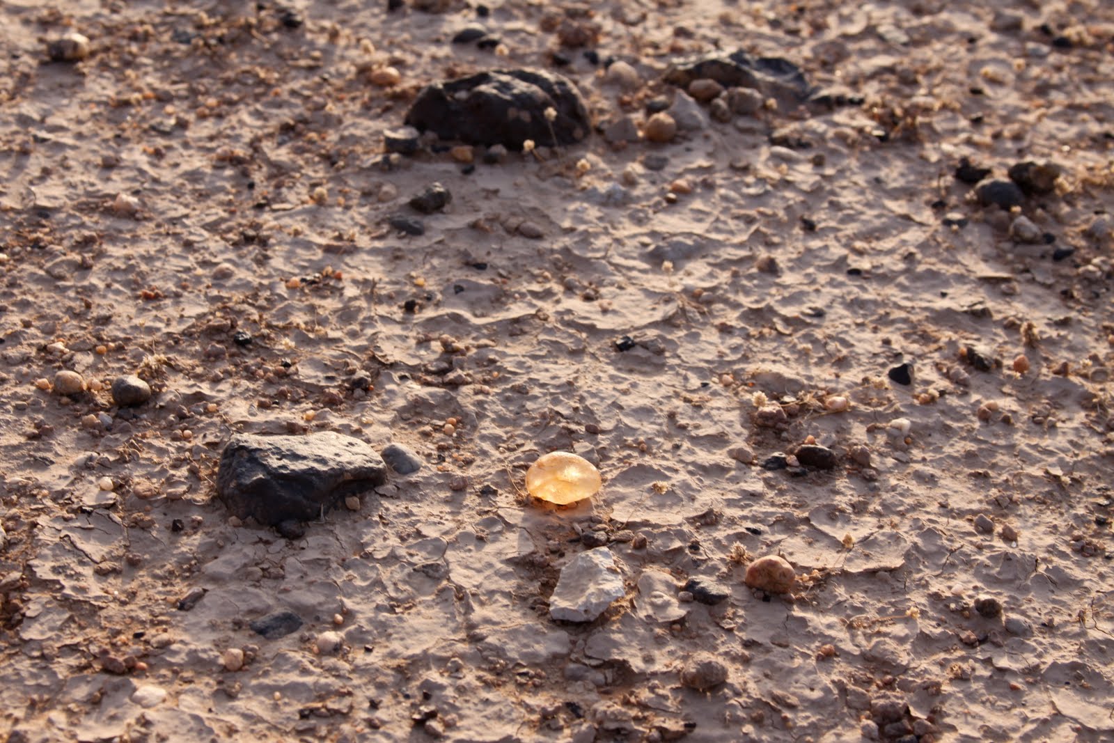 Dolly's Follies: Saudi Diamonds