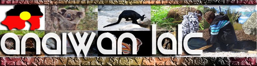Anaiwan Local Aboriginal Land Council
