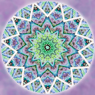 Sacred Circle Mandalas: Forest Wisdom Mandala