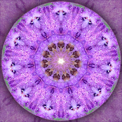 Sacred Circle Mandalas: AEDM #23 Celestial Reunion Mandala