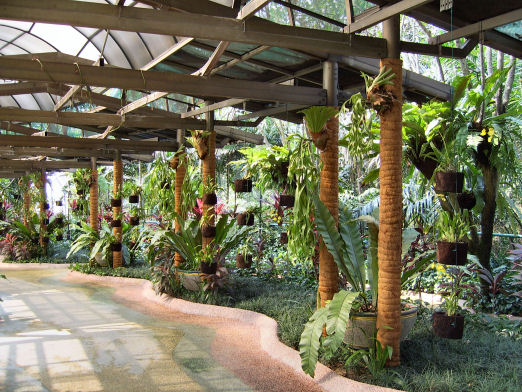 Hibiscus Garden - Kuala Lumpur Tours - This Is Malaysia