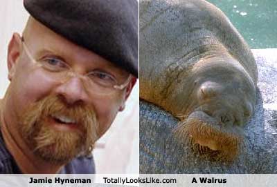 Mustachio: Jamie Hyneman