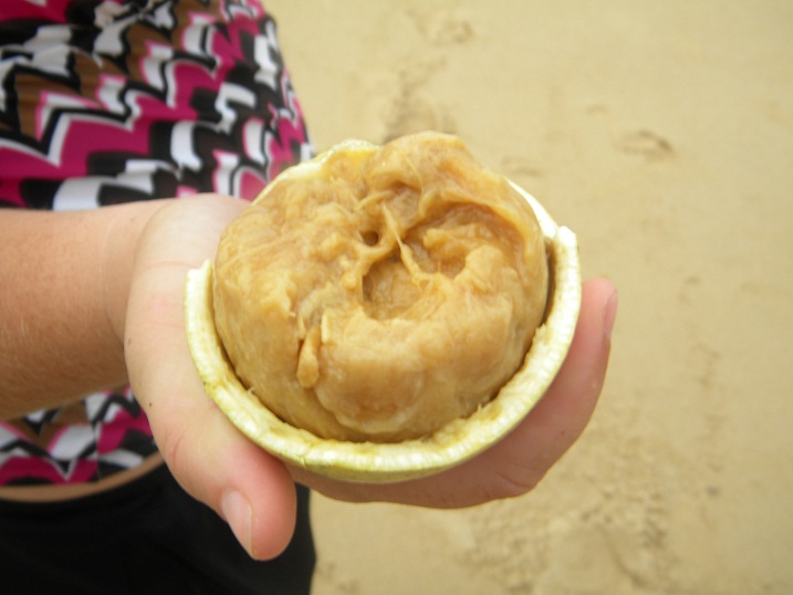 Sheri's Blog: monkey fruit
