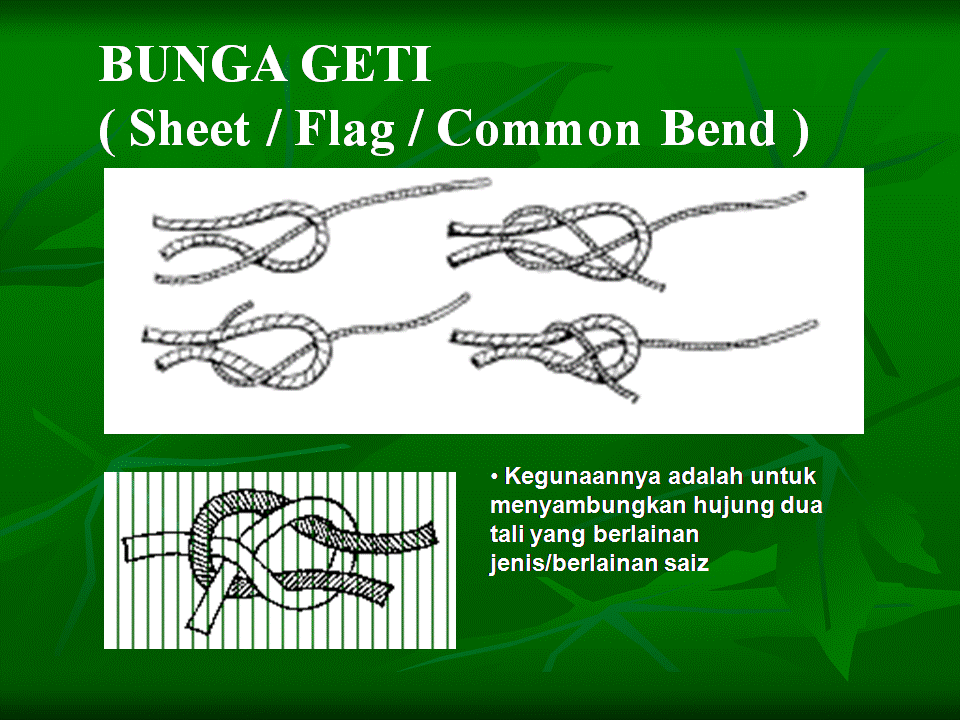 PANITIA PENDIDIKAN JASMANI & KESIHATAN SKTDH2: JENIS IKATAN / KNOT