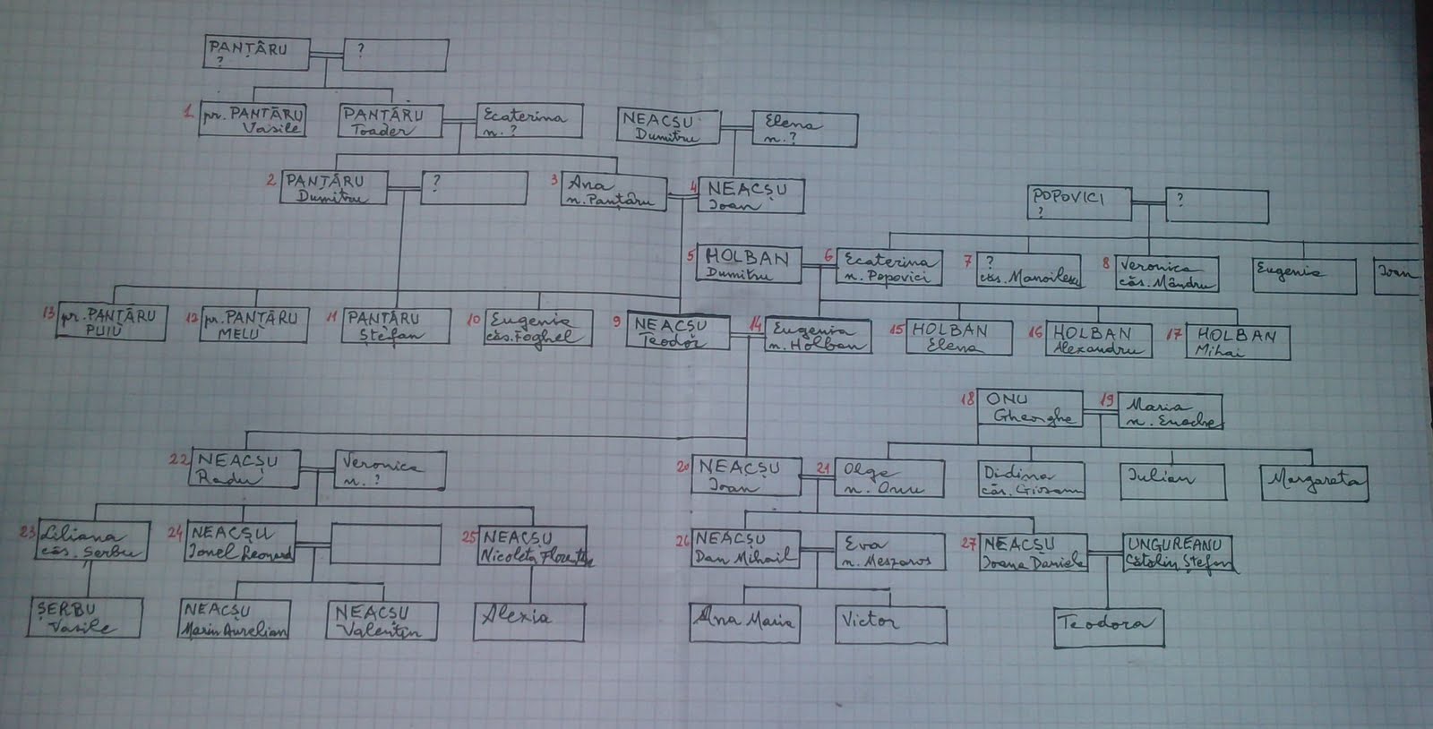 Mărturie postumă: ARBORE GENEALOGIC