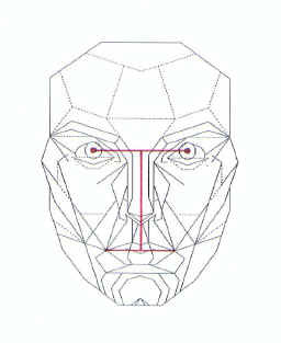 Golden Ratio Face Mask Program - rutordude
