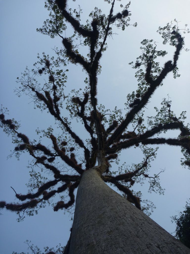 Gregory Jackson Haley Awareness