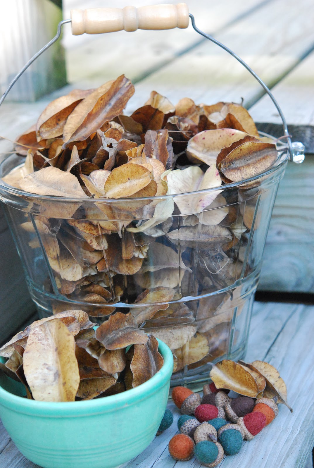 Garden Surprise - Jill Ruth & Co.