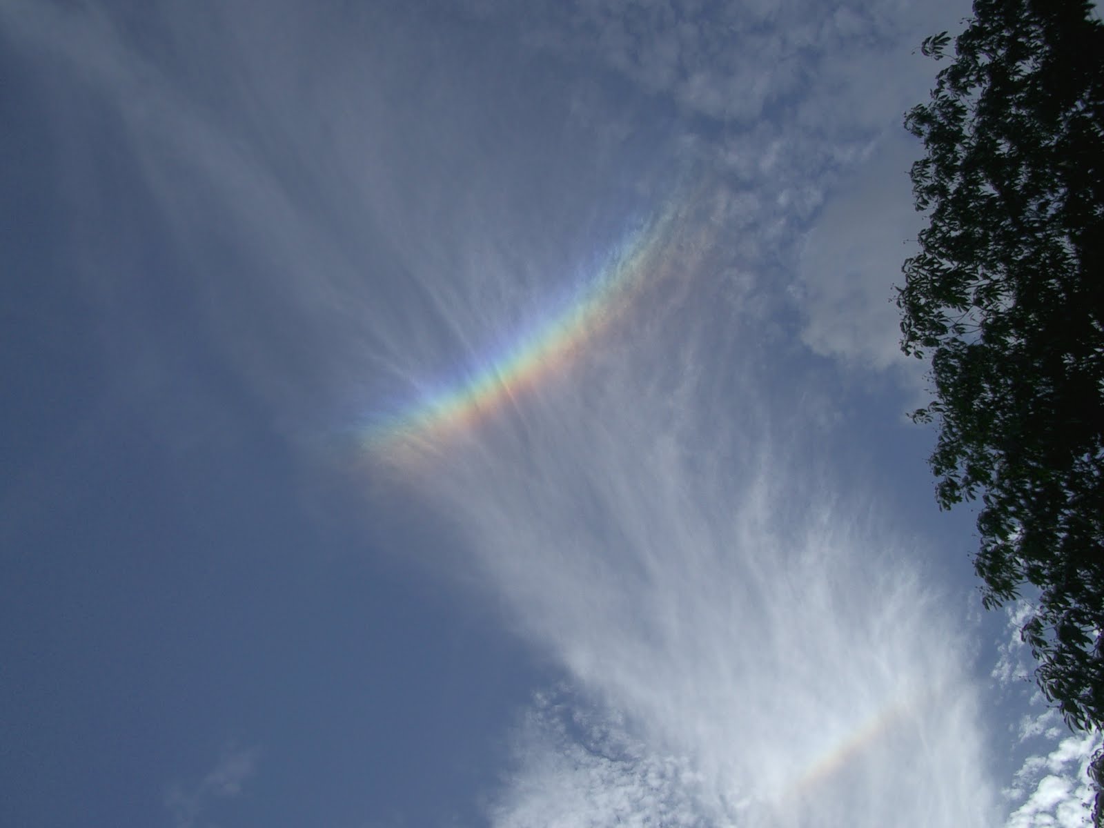 Cloud Journal: Circumzenithal arc over St James's Park