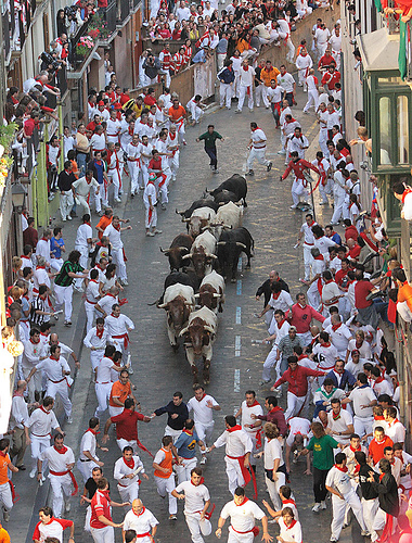 TORERIAS DE CHELIN: PANCARTAS NEGRAS EN LOS SAN FERMINES DE PAMPLONA EL ...