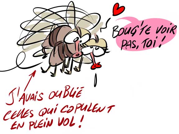 TRAIT PORTRAIT: La mouche et la tapette...