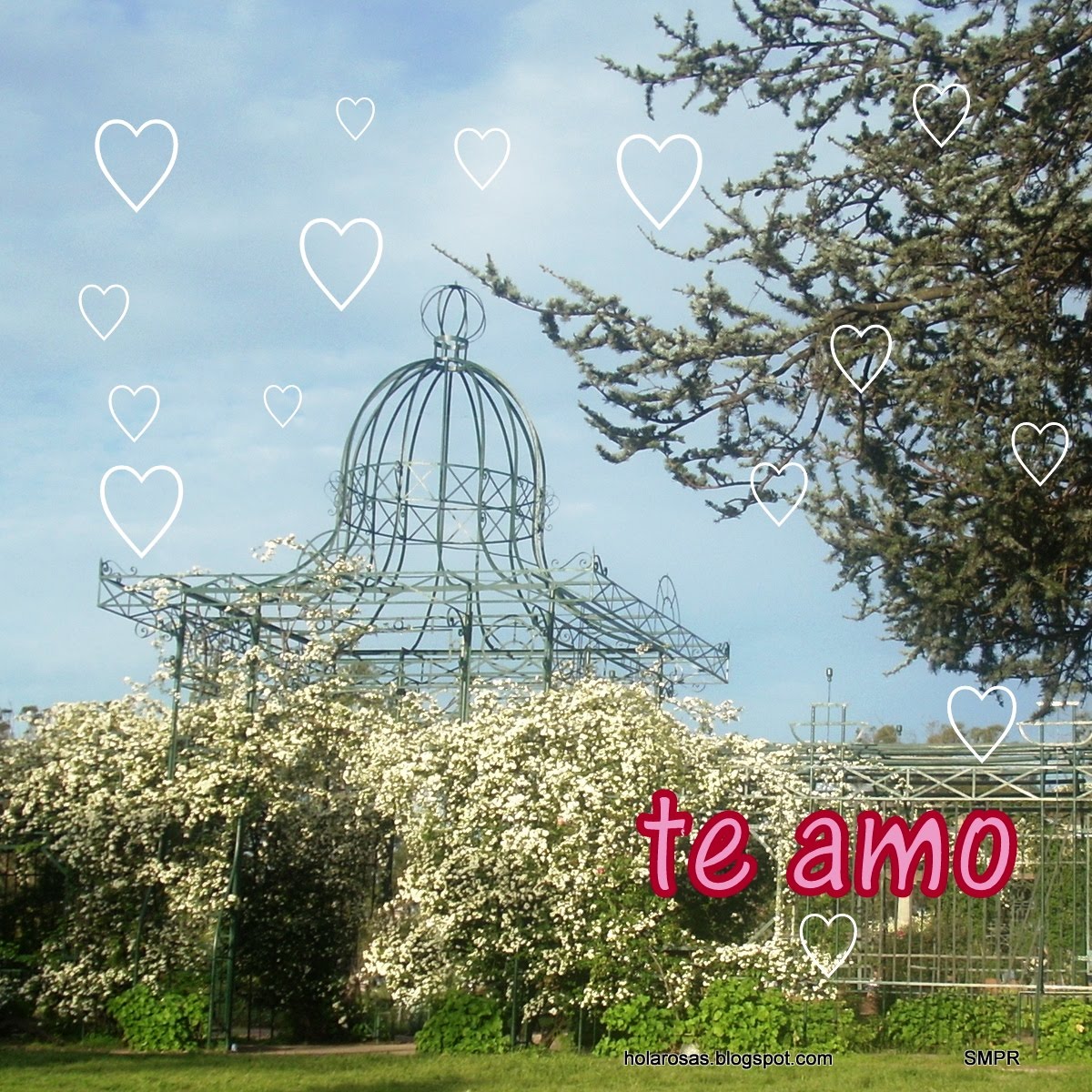 Imagenes De Amor: Fotos postales con imagenes de paisajes con rosas blancas :te amo