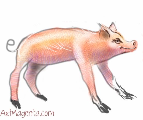 Sketchbook: I'm a slim pig