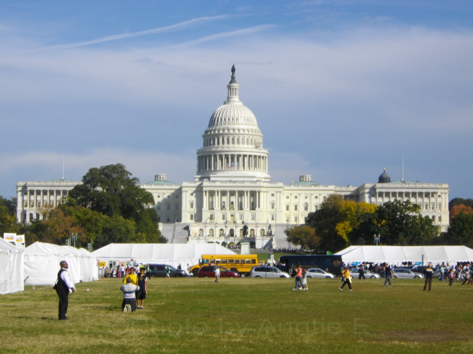 AUNTIE E's YARD and GARDEN: Ruby Tuesday- Nations Capital Sighting