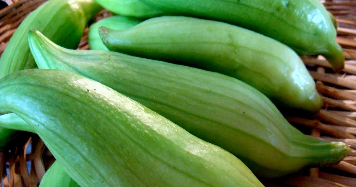 come-se: Maxixe-do-reino, maxixe-peruano, maxixe-do-norte. E outros ...