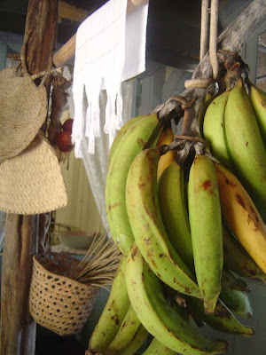 come-se: Frutas Amazônicas parte 4 - Bacuripari-liso, banana pacovã e ...