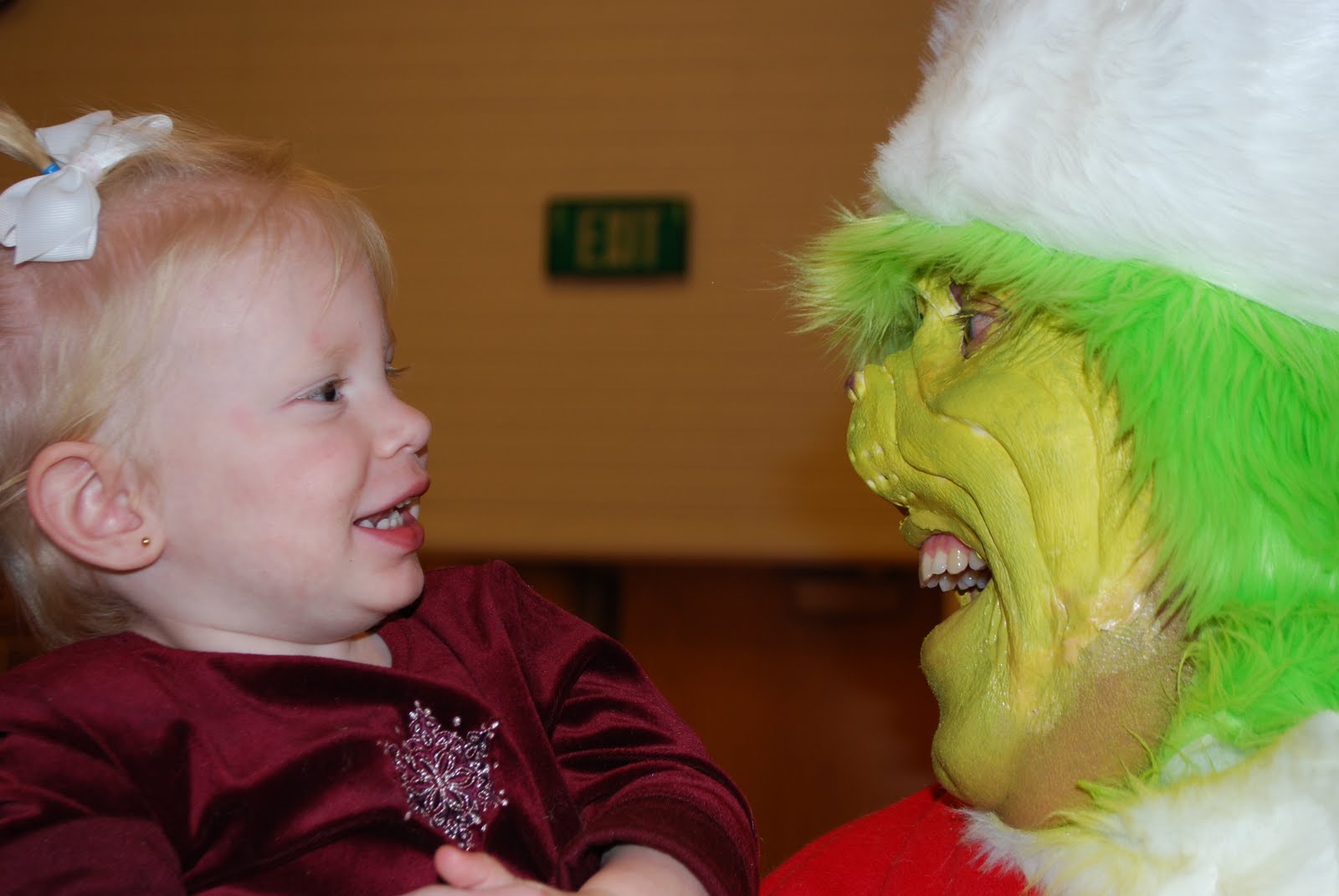 A Handful of Blessings: How the Grinch Stole Christmas