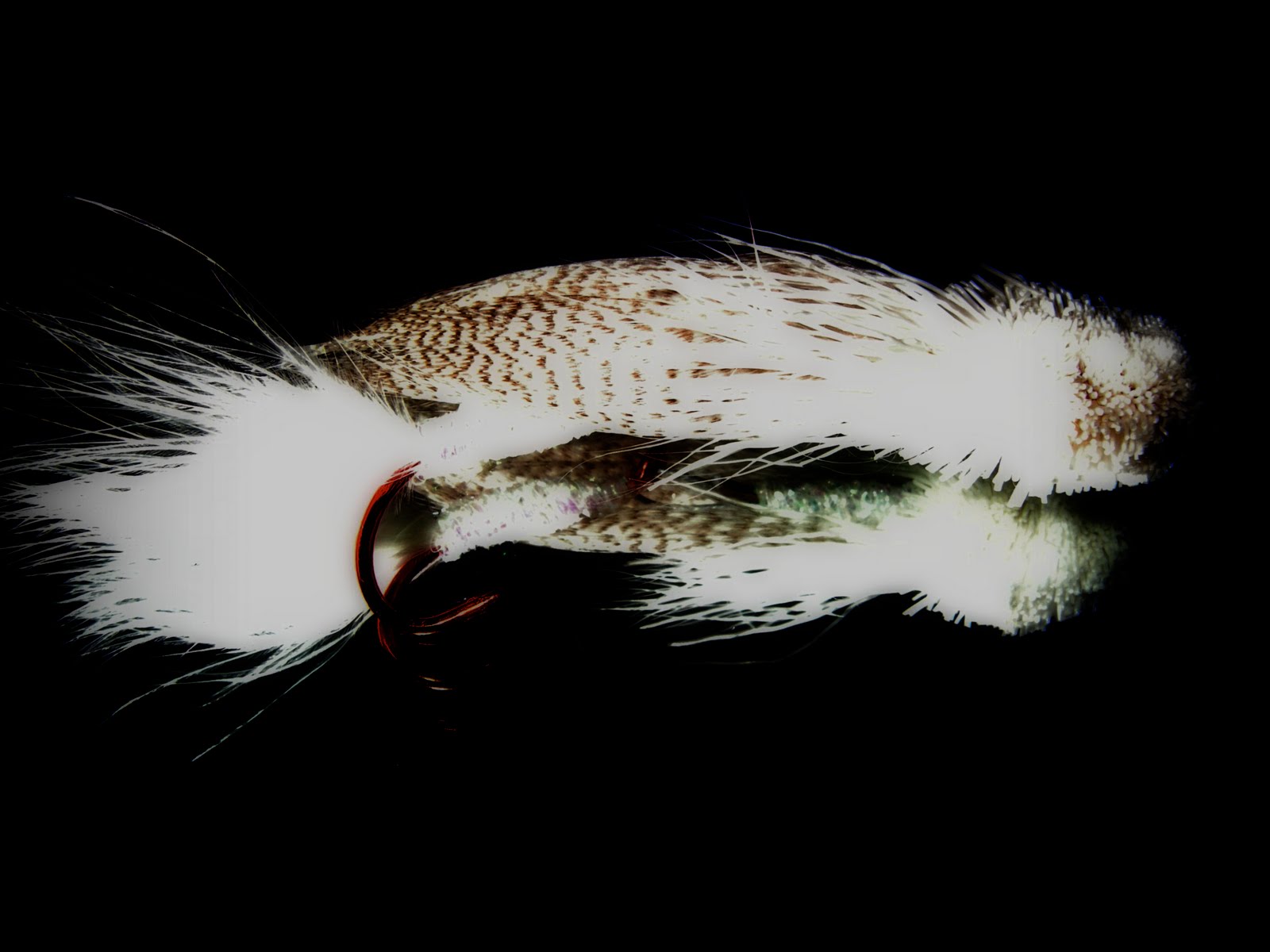 EpicFly: Arkansas River Brown Trout Bugs. Most are variations on Kelly ...