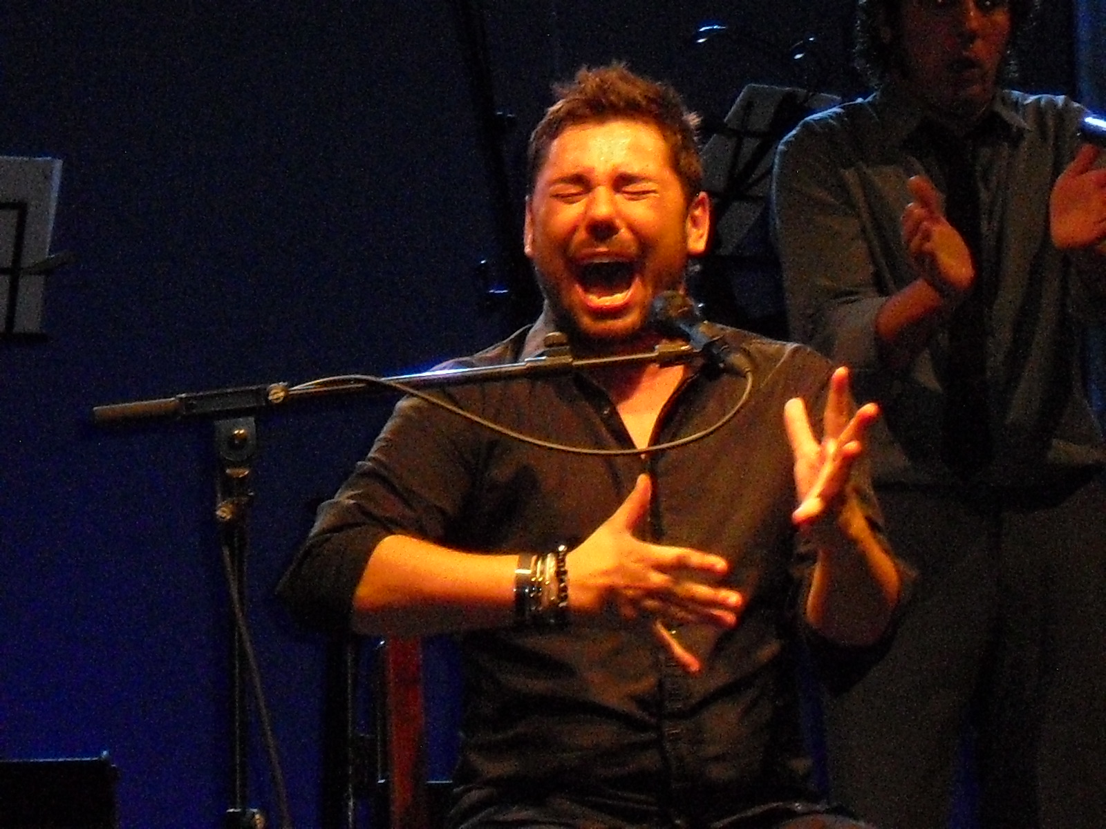 Opiniones de cante jondo