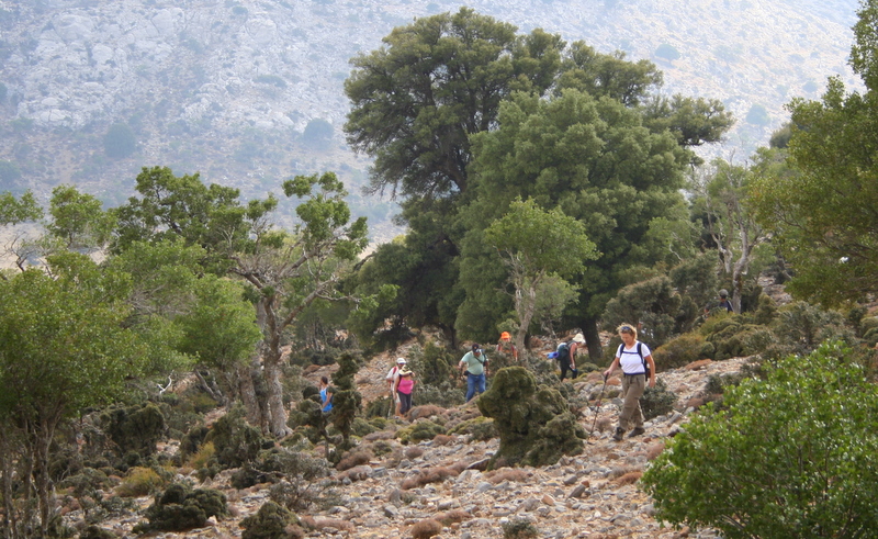 ΟΡΕΙΒΑΤΙΚΟΣ ΣΥΛΛΟΓΟΣ ΑΓΙΟΥ ΝΙΚΟΛΑΟΥ (1ος κύκλος): ΑΦΕΝΤΗΣ ΧΡΙΣΤΟΣ-ΨΑΡΗ ...