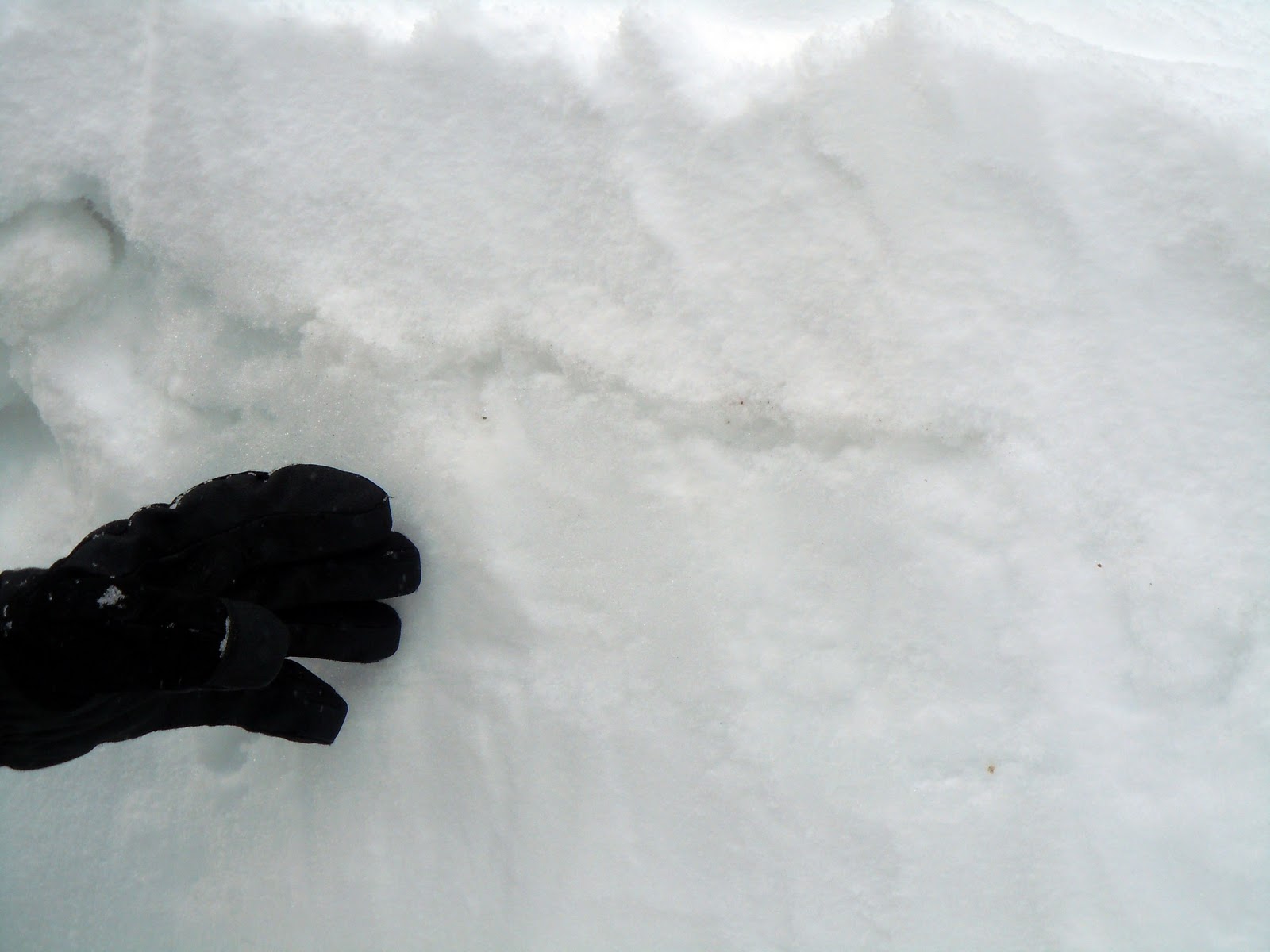 Storypath/Cuentocamino: : DIGGING SNOW PIT DURING AVALANCHE TRAINING