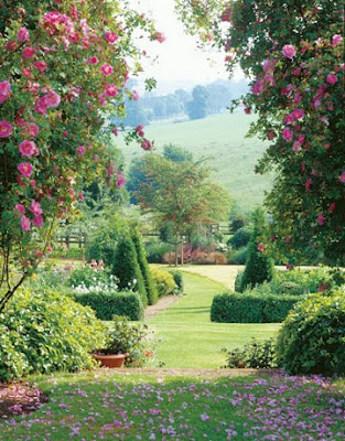 Pretty Little Things: How Does Your Garden Grow