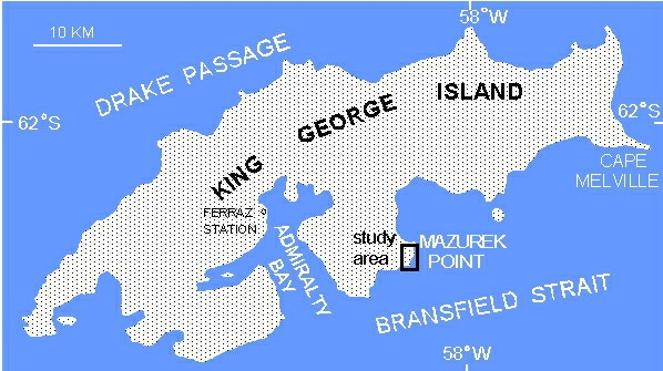 The World Complex: Self organization in geological phenomena, part 2 ...